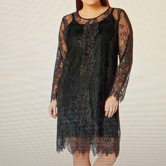 REBEL | Dresses | Rebel Wilson X Angels Womens Plus Size 2x Lace Dress ...